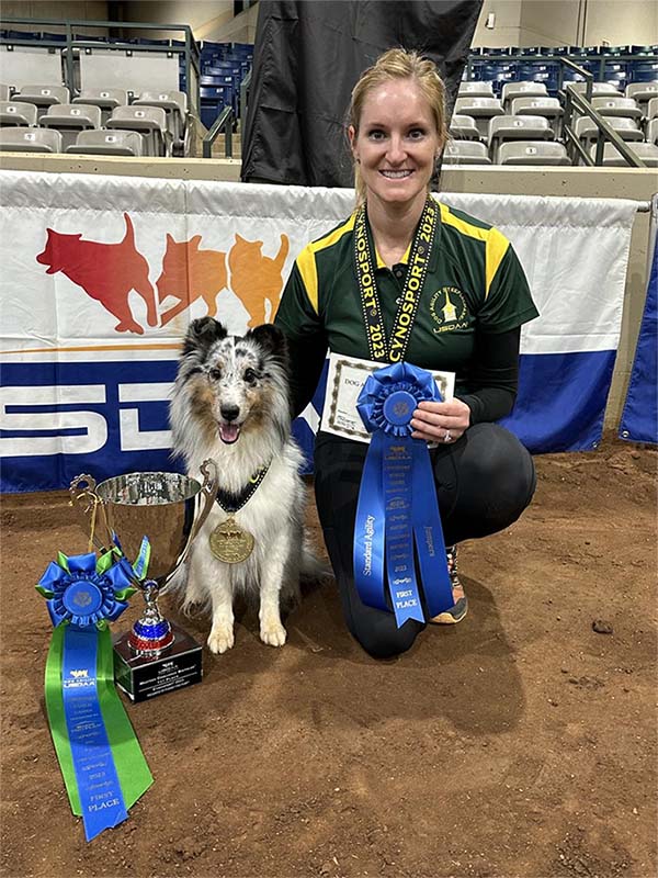 Apex Shetland Sheepdogs